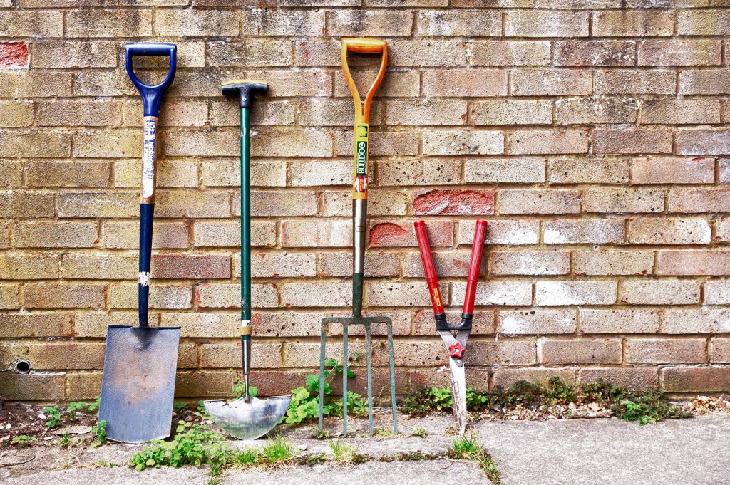 Gardening Essentials You Need - Gardening NHC